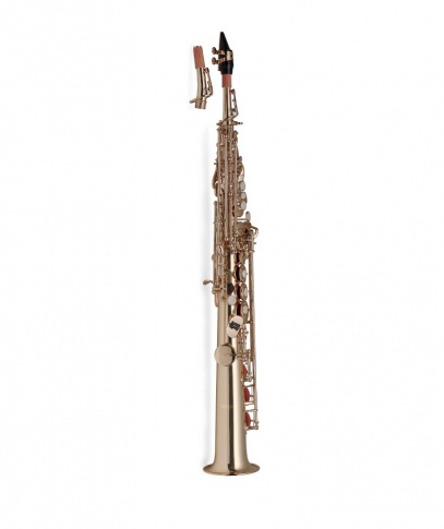 Tenor/Soprano Saxophone Rental | The School of Music - Rockville, MD